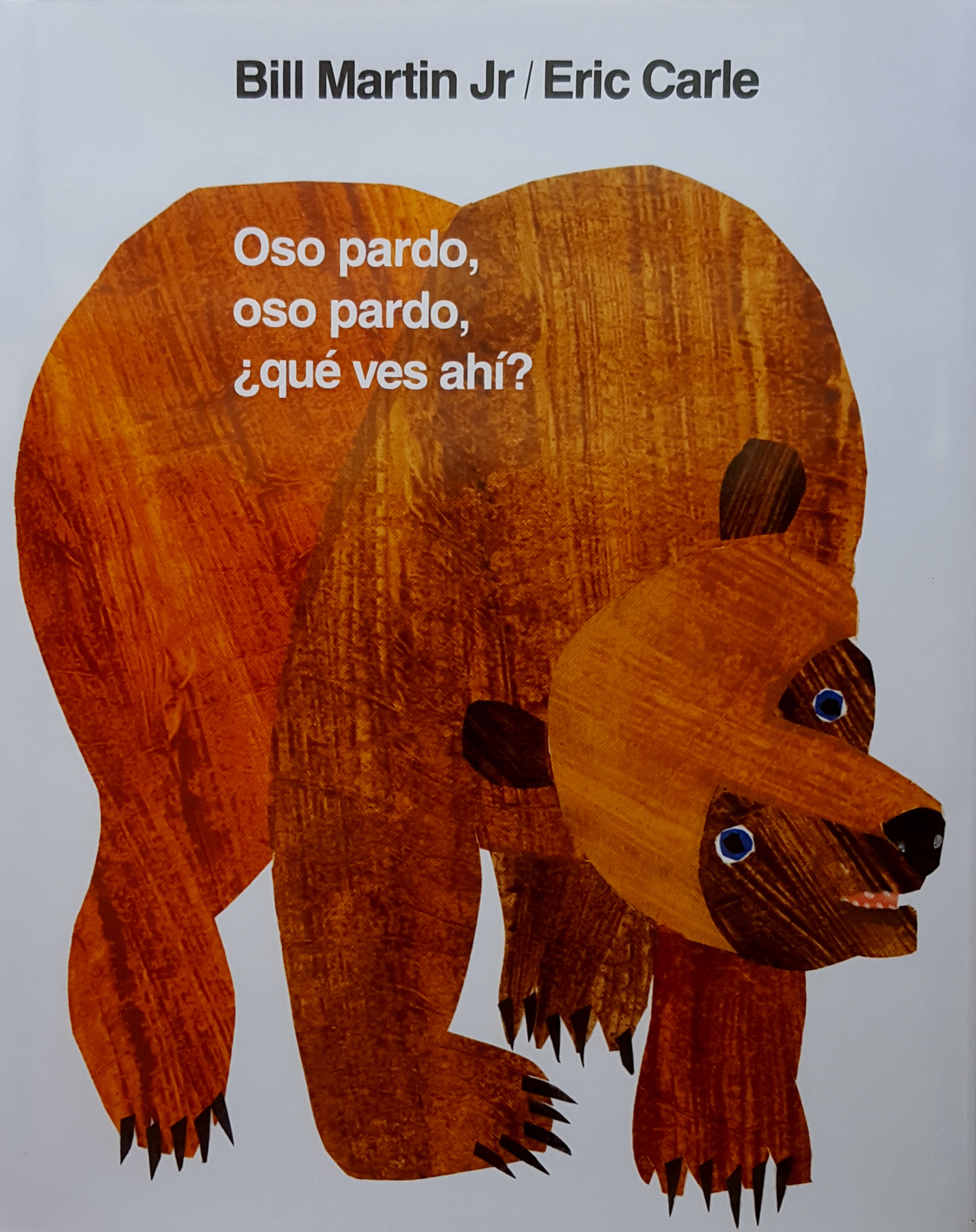 Memes Oso Pardo